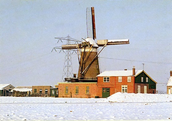 Lewedorp - Stichting Levende Molens